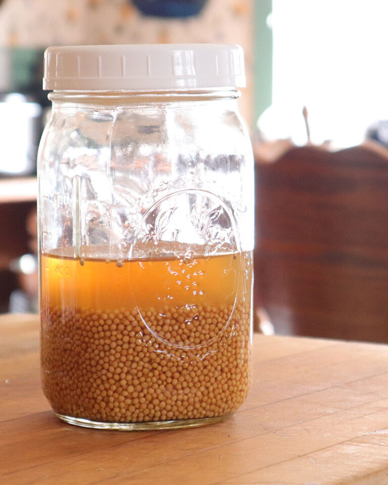 How to Make The Best Basic Homemade Mustard - Field, Farm & Forest