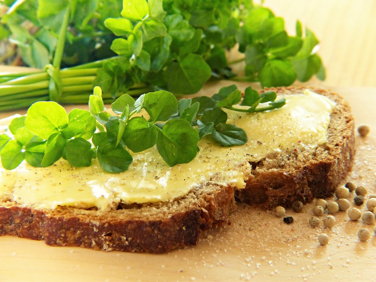 How to Make The Best Basic Homemade Mustard - Field, Farm & Forest