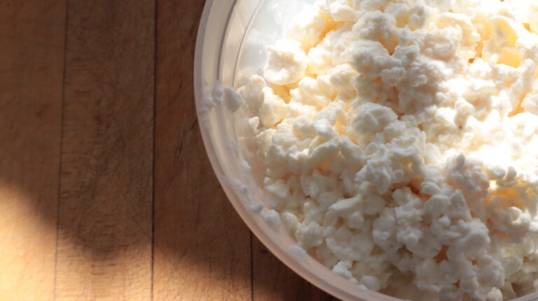 Fresh from the Farm: Crafting Raw Milk Cottage Cheese - Field, Farm ...